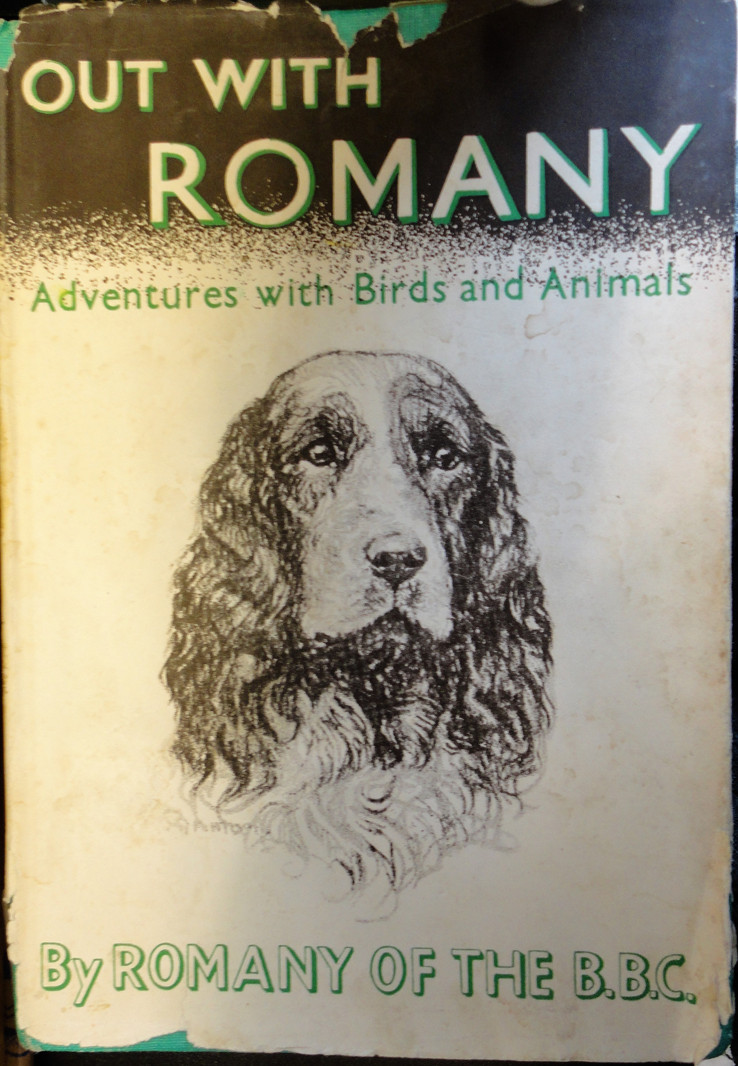 Romany 1 | Reading Sheffield